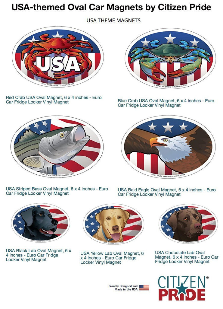 USA theme Oval Magnets, 6x4, collection